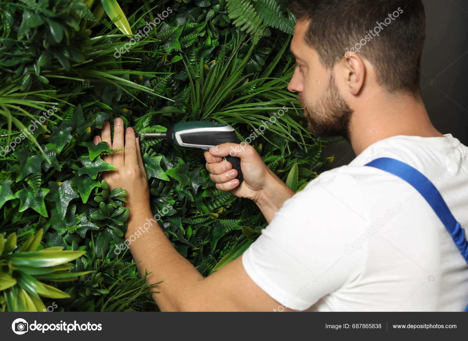 Man Screwdriver Installing Green Artificial Plant Panel Grey Wall Stock ...