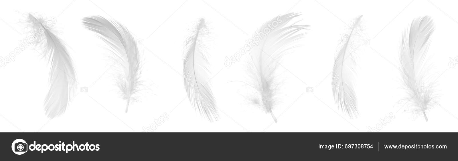 Light Feathers Isolated White Collection Plumage — Stock Photo ...