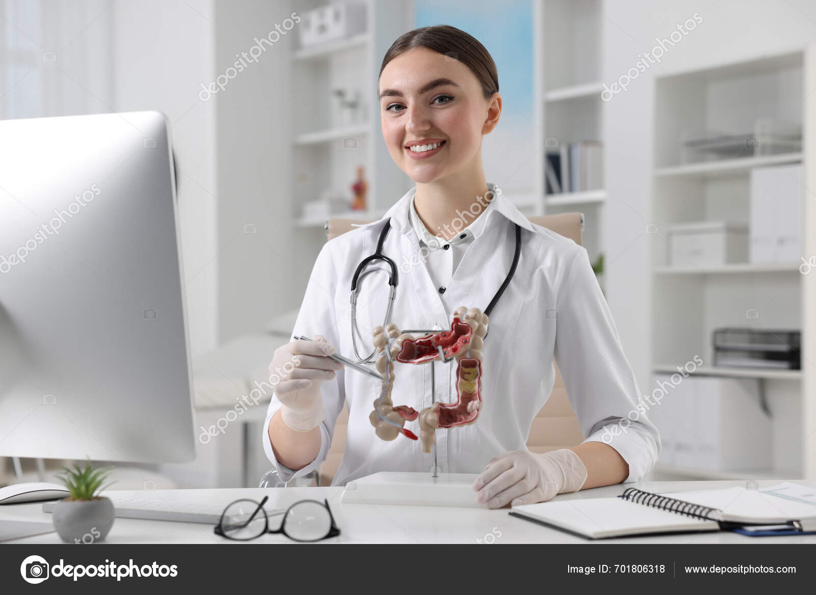 Gastroenterologist Showing Anatomical Model Large Intestine Table ...