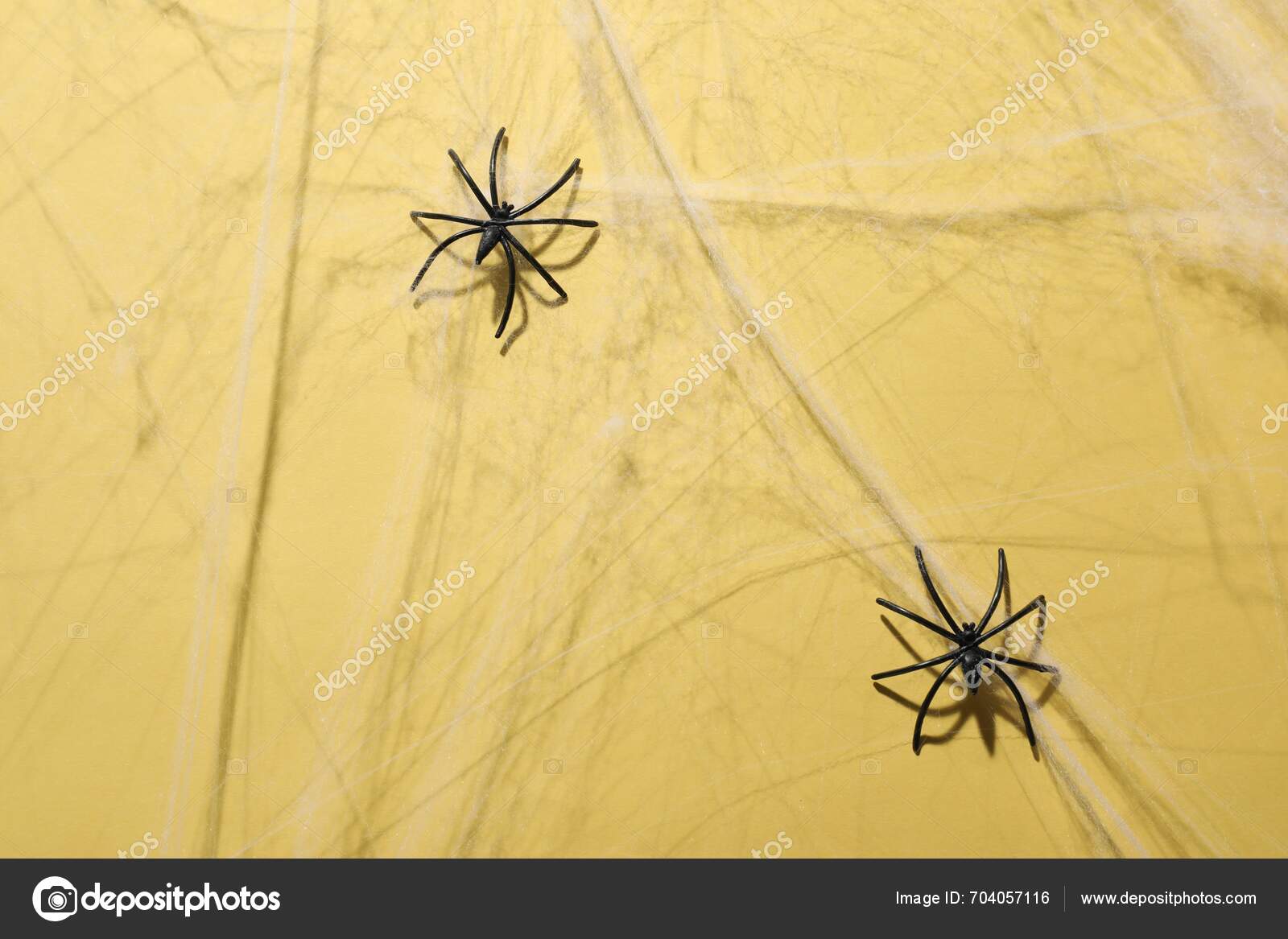 Cobweb Spiders Yellow Background Top View — Stock Photo © NewAfrica ...