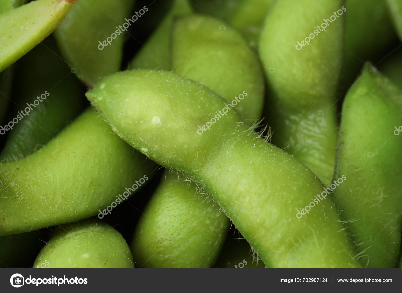 Fresh Edamame Pods Background View — Stock Photo © NewAfrica #732907124