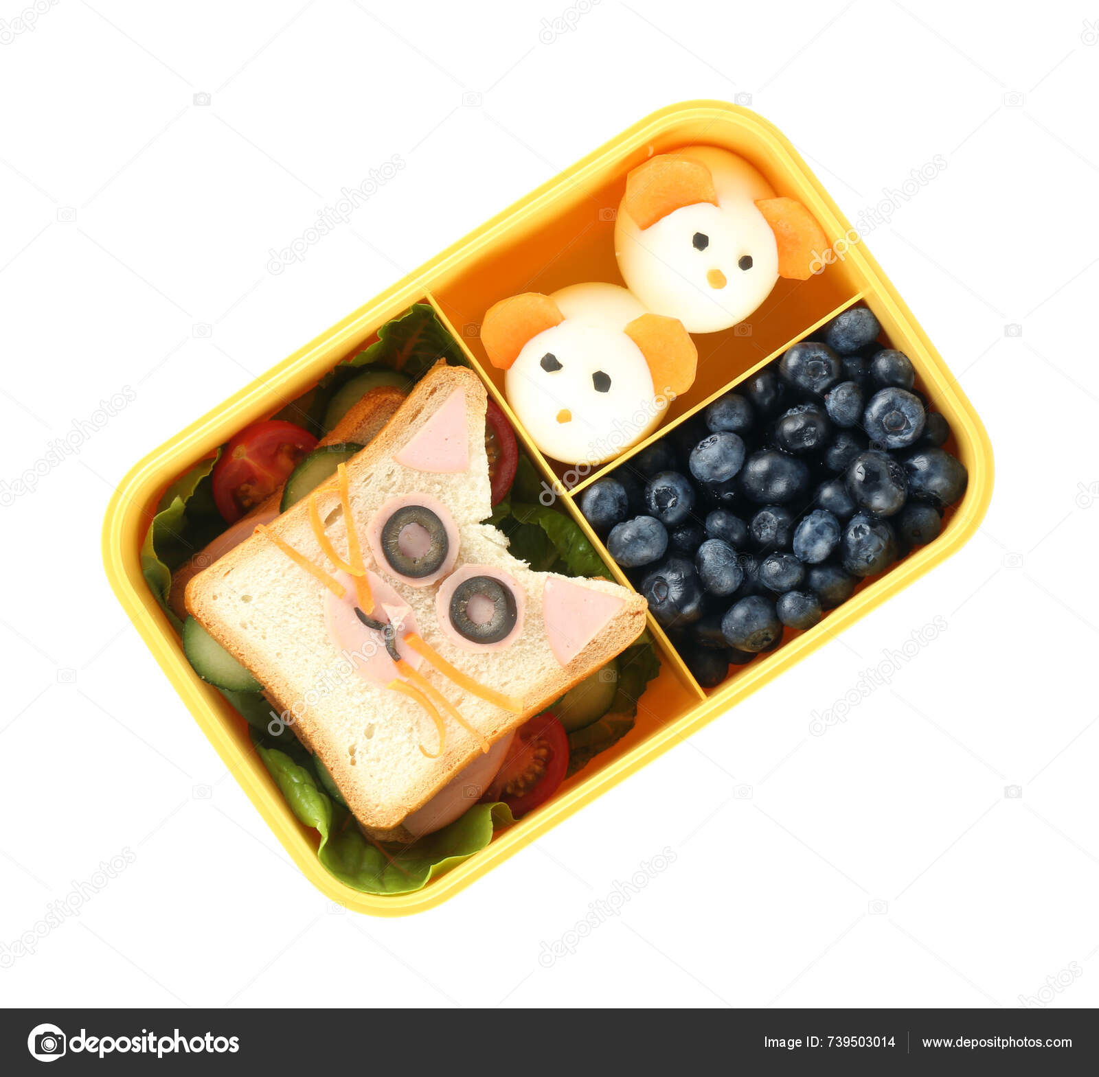 Lunch Box Sandwich Eggs Blueberries Isolated White Top View — Stock ...
