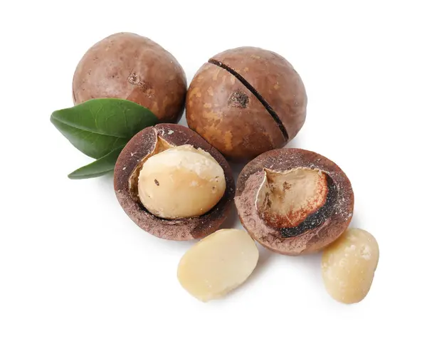 Macadamia nuts Stock Photos, Royalty Free Macadamia nuts Images ...