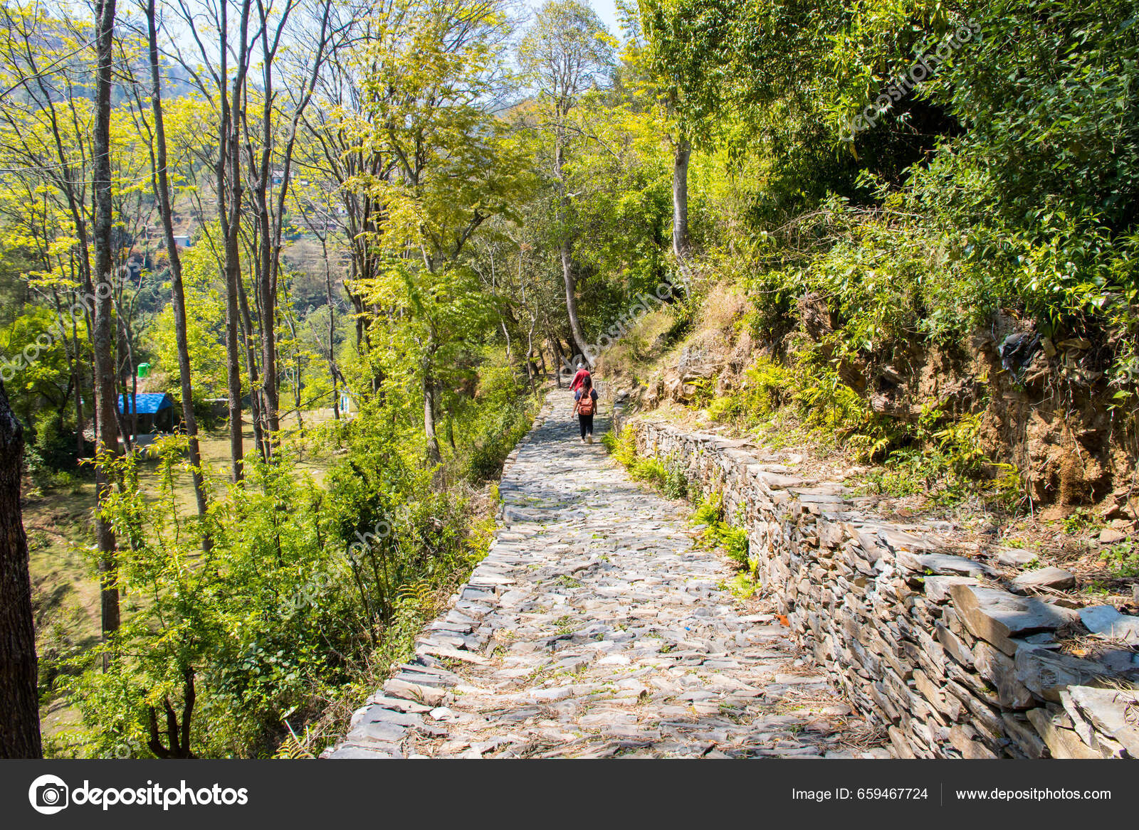 Trekking Nepal Beautiful Mohini Jharana Waterfall Trekking Route ...