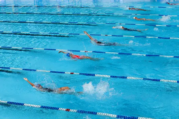 Piscina com nadadores Stock Photos, Royalty Free Piscina com nadadores ...