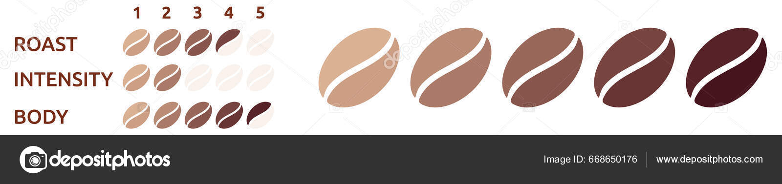 Coffee Strength Scale Different Colour Beans Show Intensity Roast Stock ...