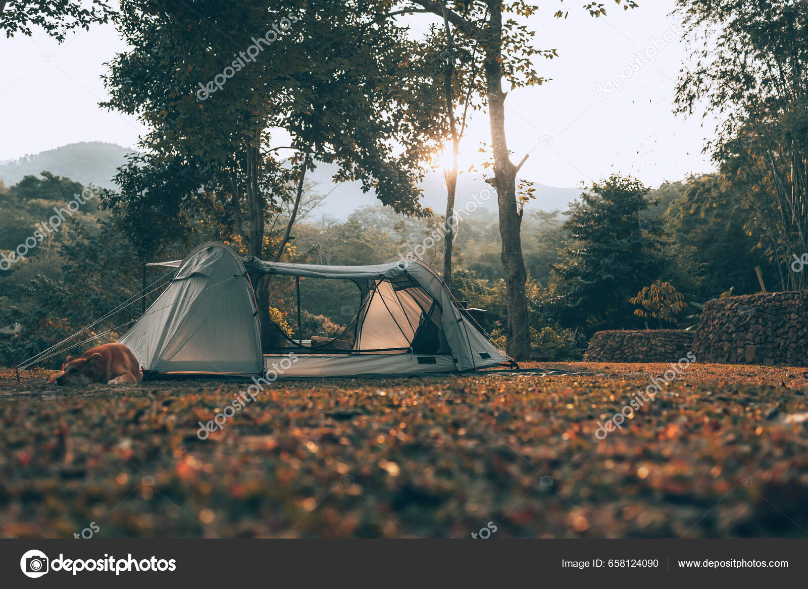 Gray Tent Grass Forest View Mountain Morning Camping Travel Holiday ...
