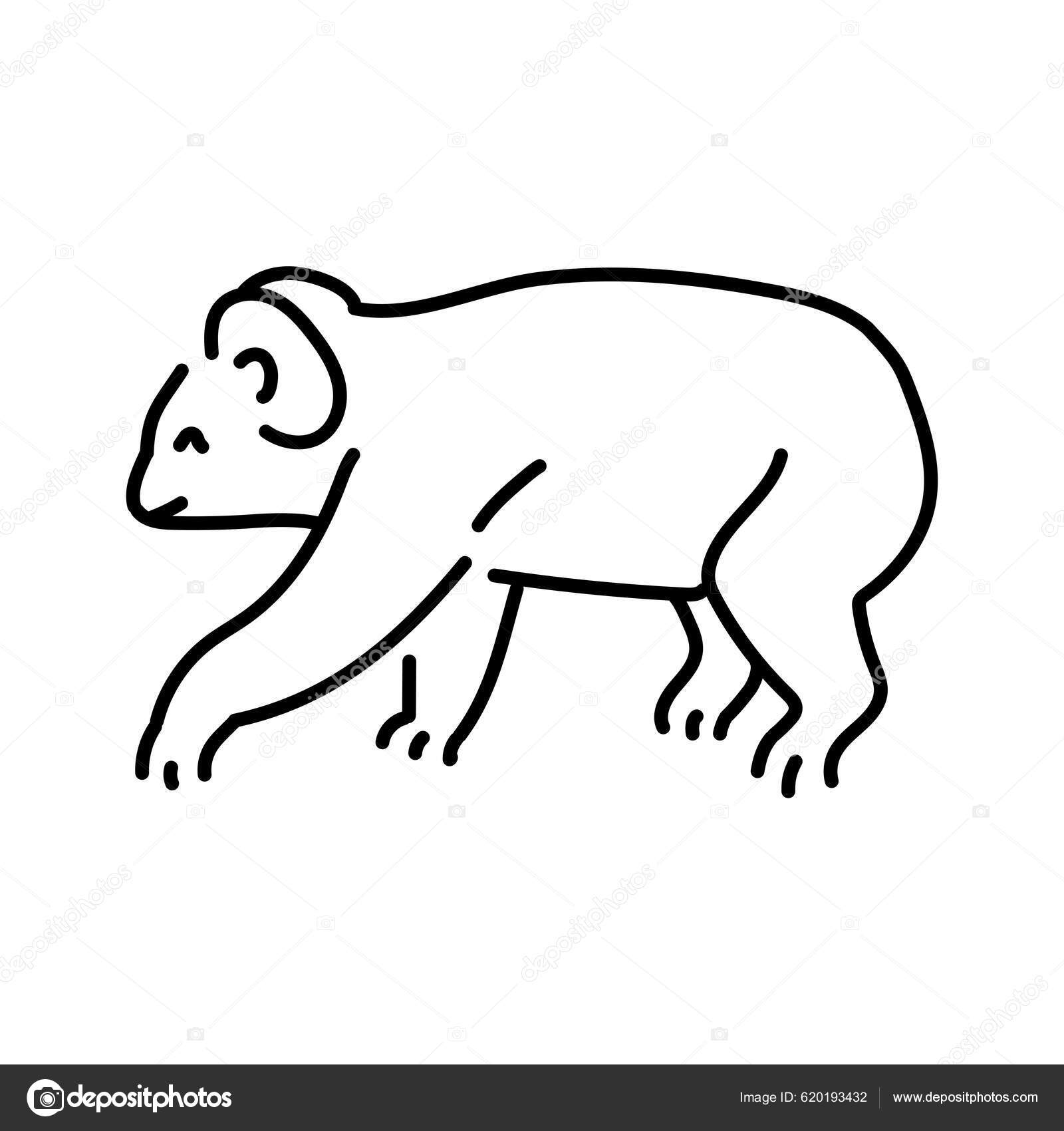 Koala Color Line Illustration Animals Australia Stock Vector by ...