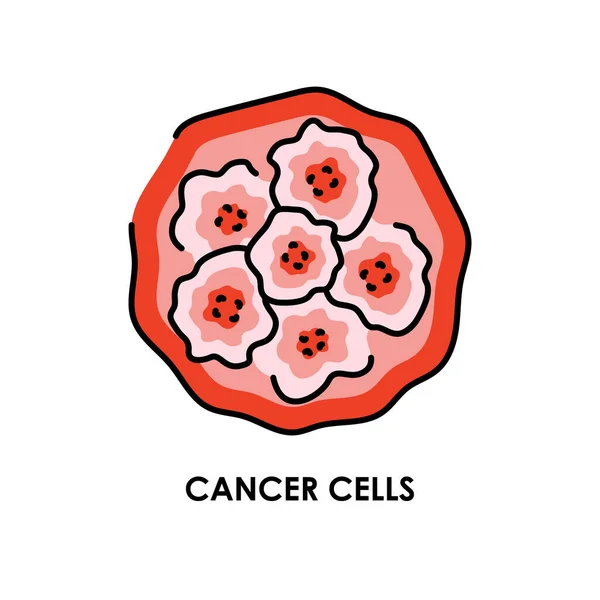 Kill cancer cells Stock Photos, Royalty Free Kill cancer cells Images ...