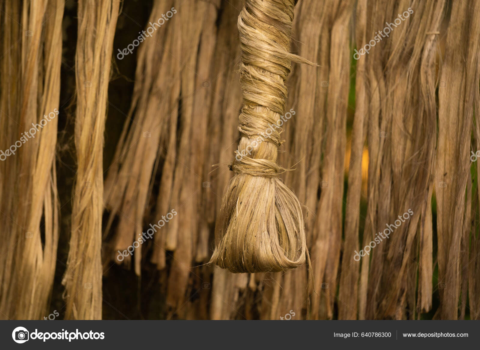 Cash Crops Jute