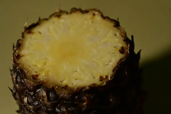 Pineapple stem Stock Photos, Royalty Free Pineapple stem Images ...