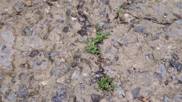 121 Formação de concreto Videos, Royalty-free Stock Formação de ...