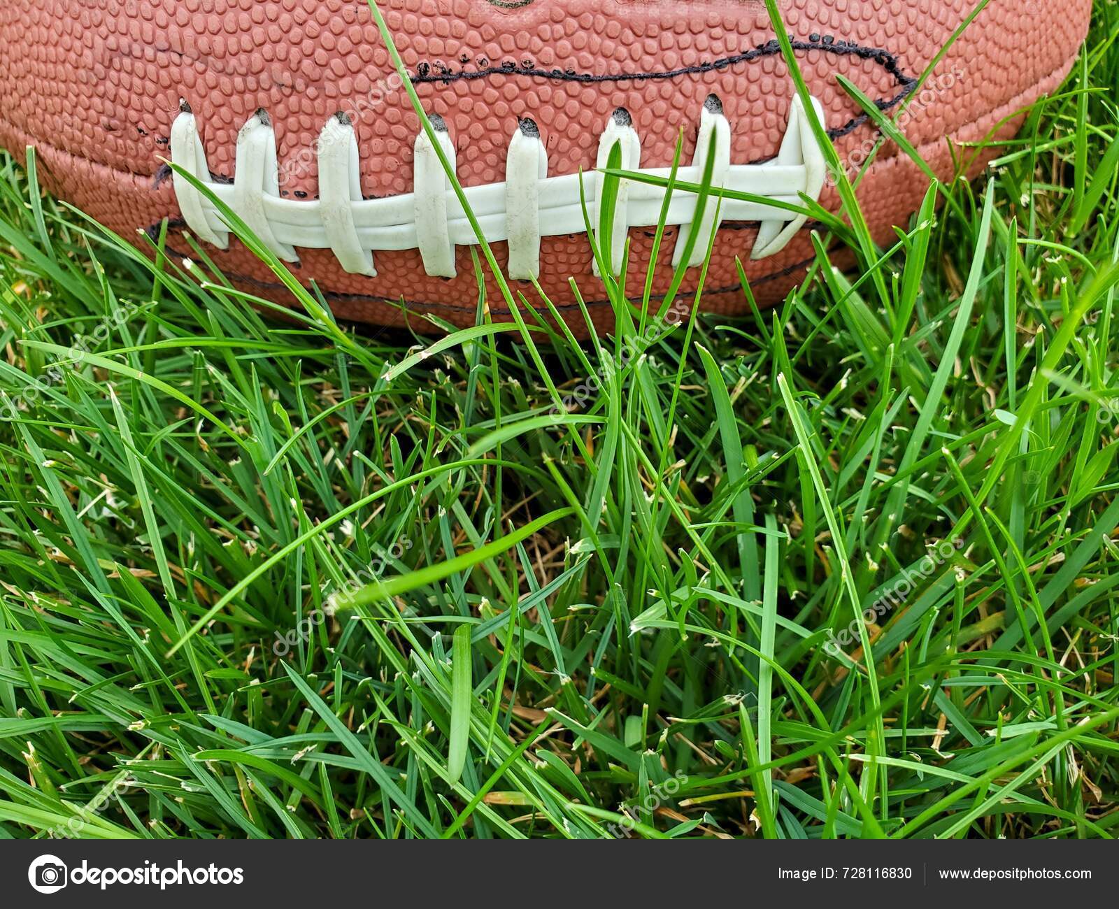 Extreme Close American Football Green Grass — Stock Photo © jentara ...