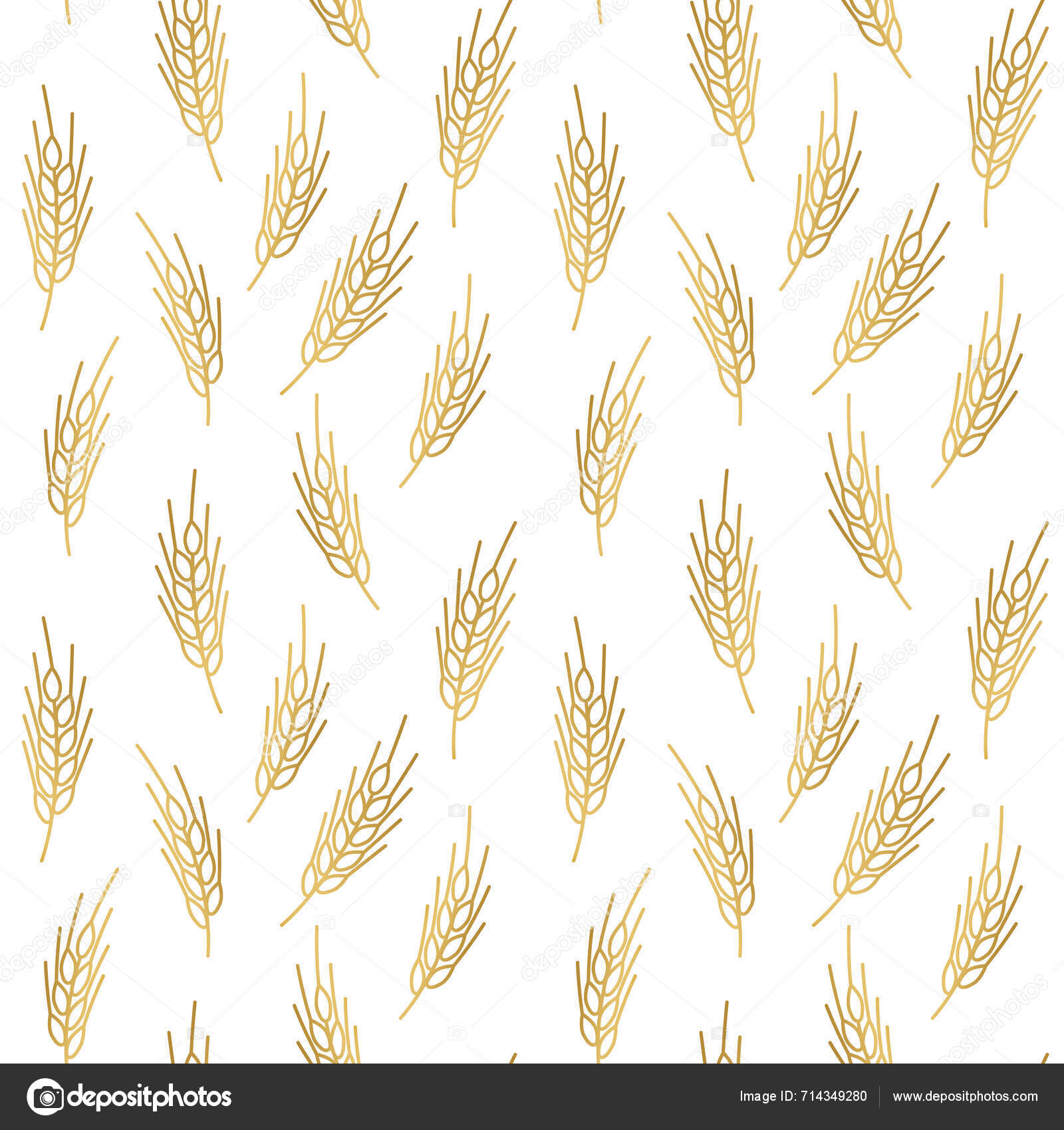 Seamless Golden Pattern Wheat Ears Great First Holy Communion ...