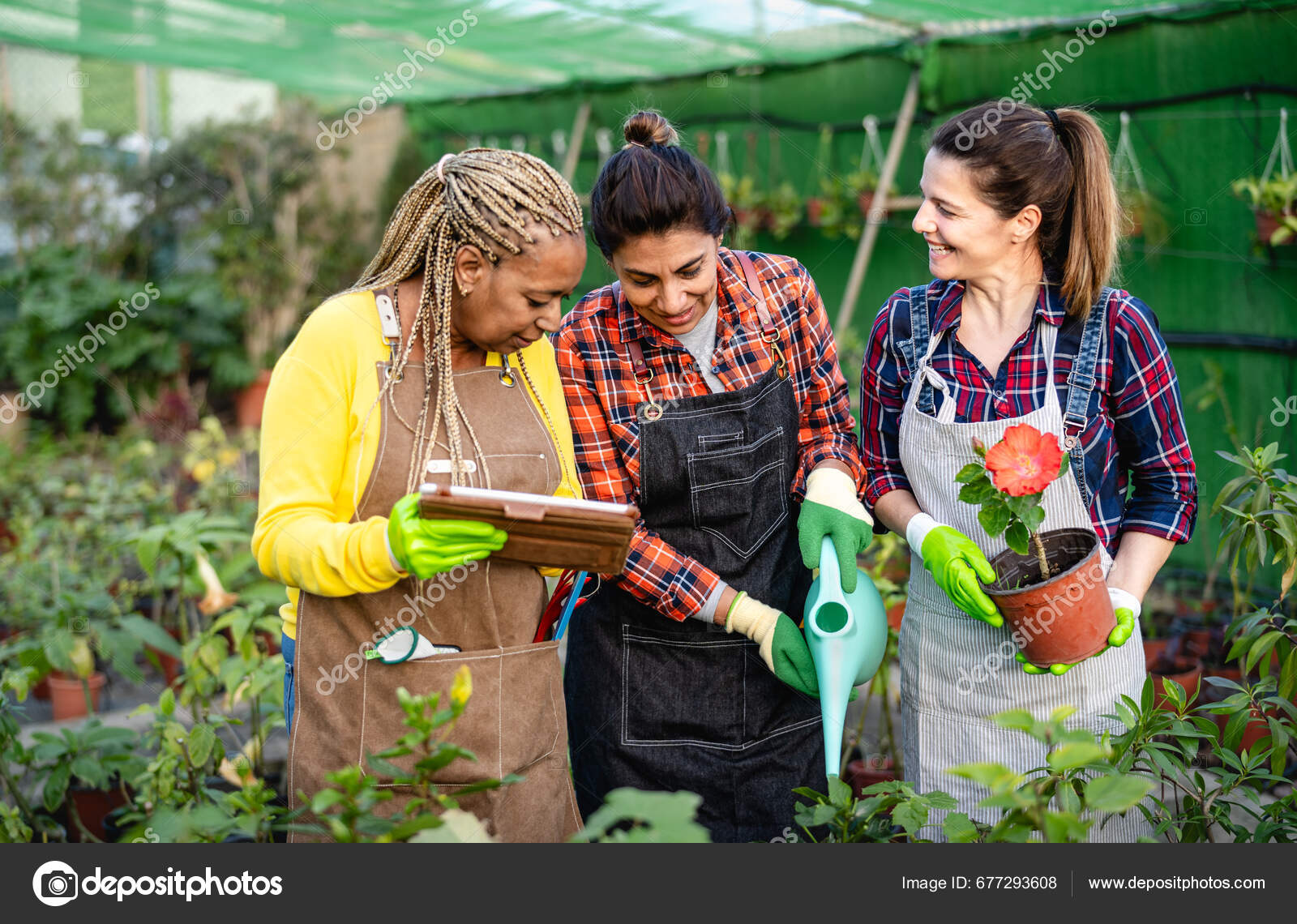 Happy Multiracial Women Working Together Plants Flowers Garden Shop ...