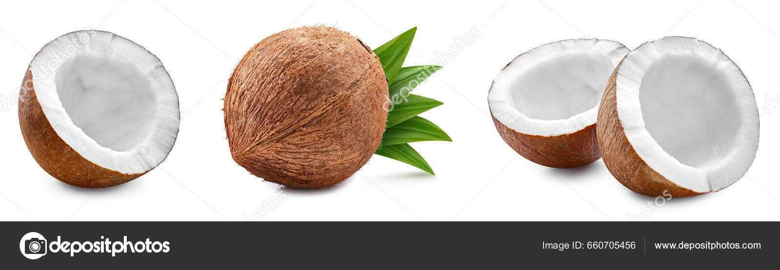 Coconut Collection Clipping Path Coconut Isolated White Background ...