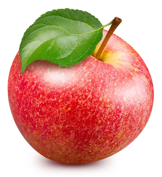 Red Apple Leaves Isolated White Background Red Apple Your Design Stock ...
