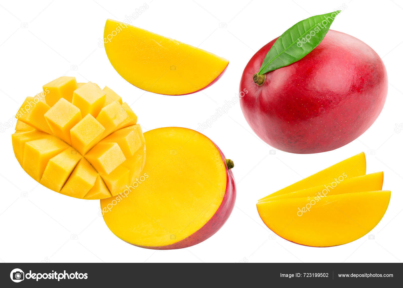 Mango Fruit Leaves Isolated White Background Mango Leaves Clipping Path ...