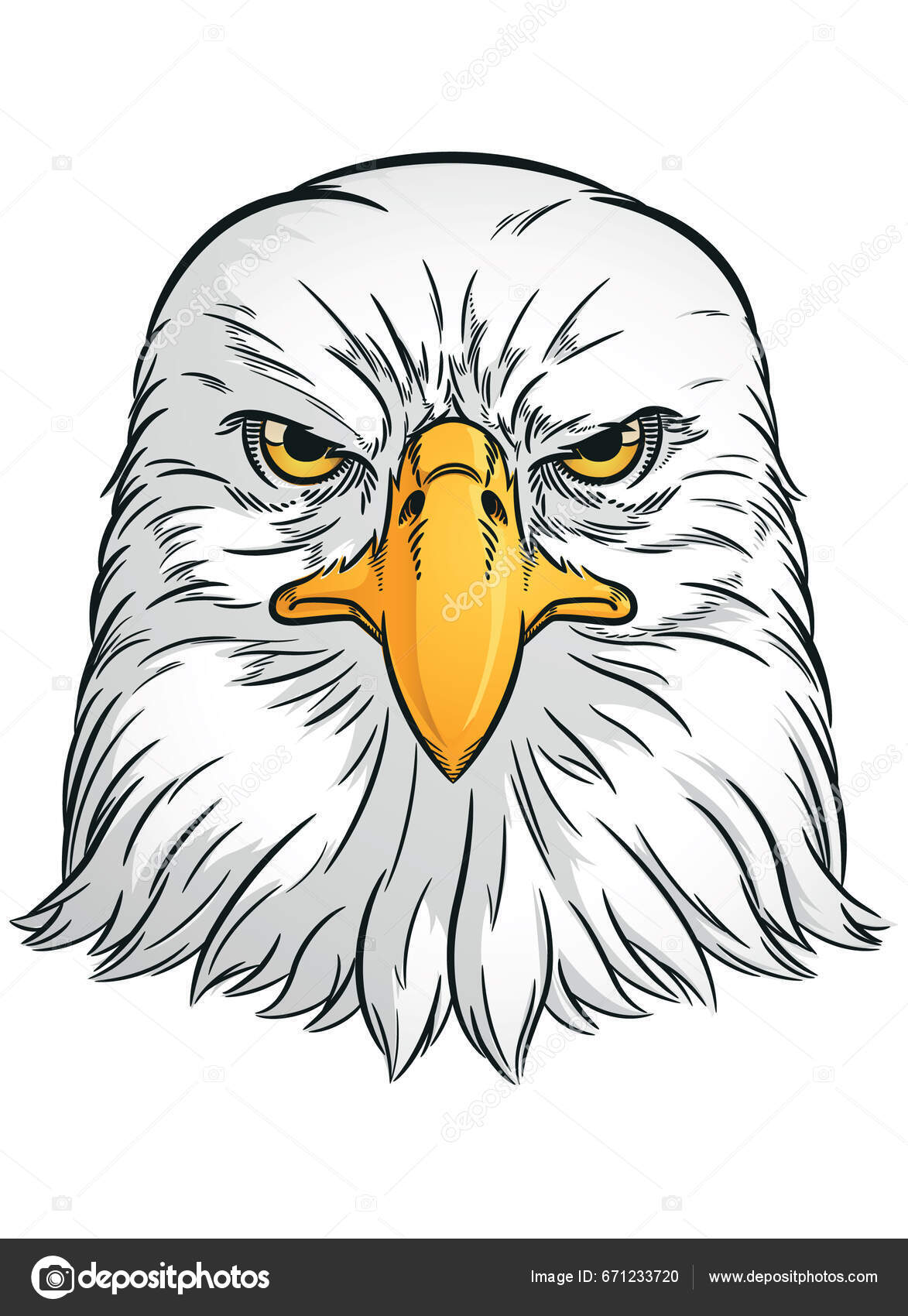 Eagle Face Front Vector