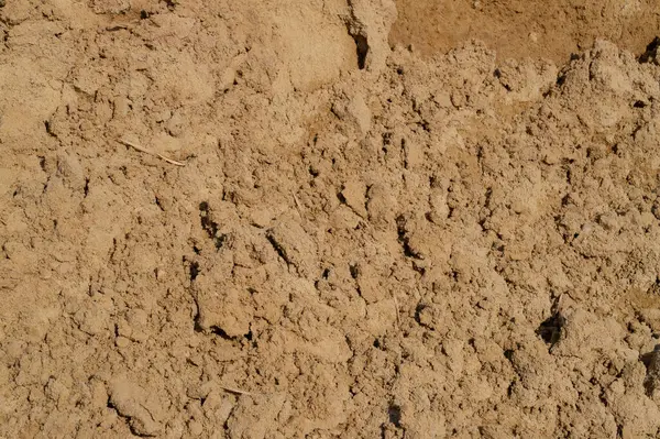 Multani mitti Stock Photos, Royalty Free Multani mitti Images ...