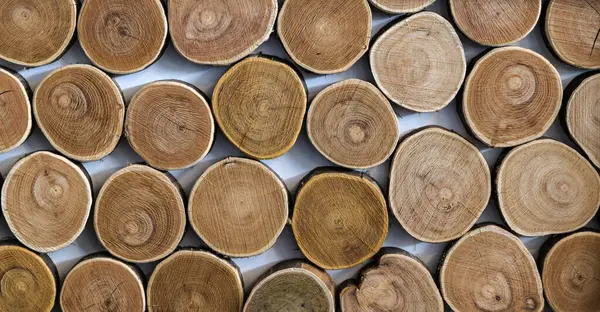 Decorative log wood background. Textured surface with rings, tree trunk ...