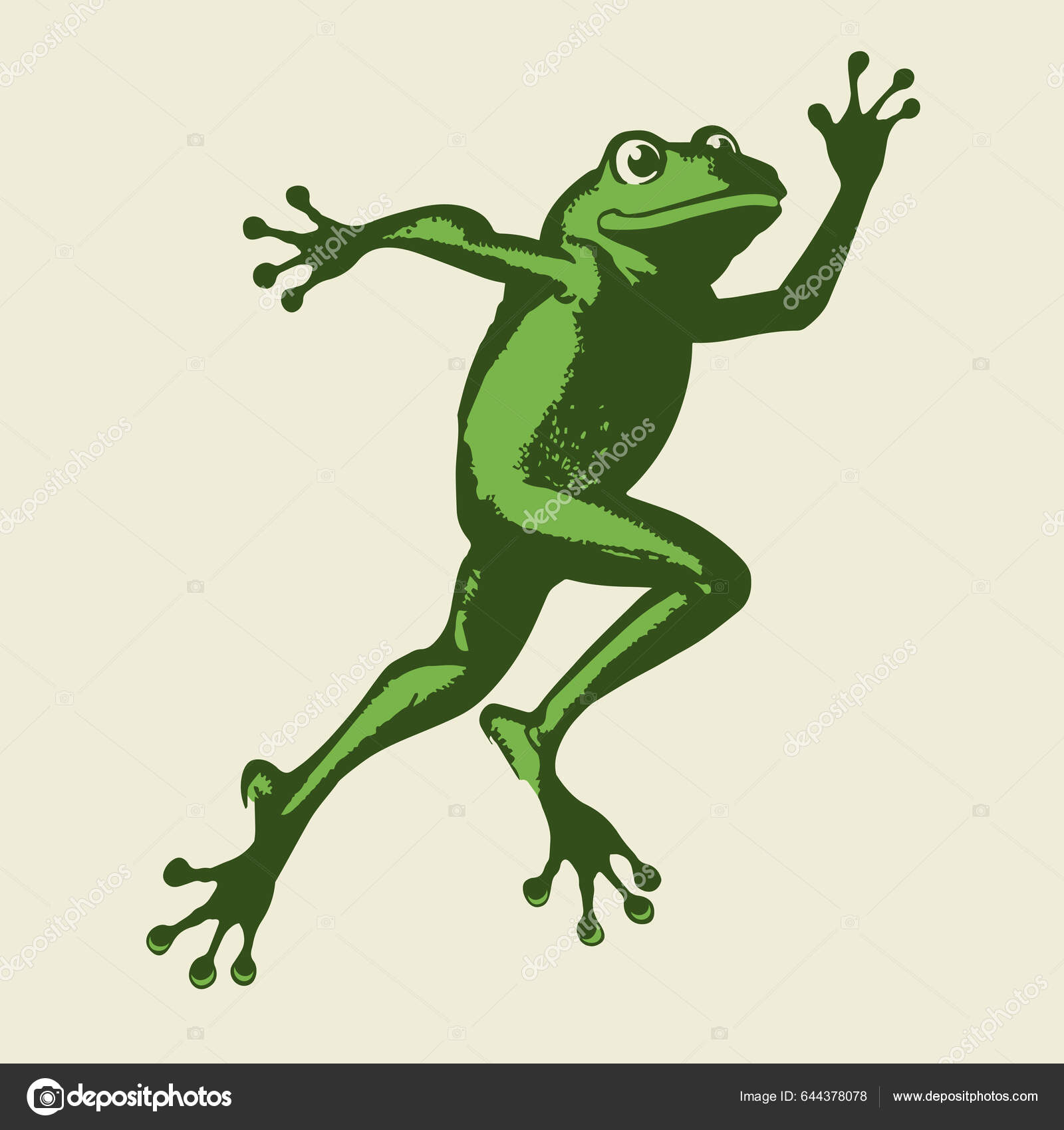 Kikker Springende Clipart Kleine Groene Kikker Speelgoed Opwindbare