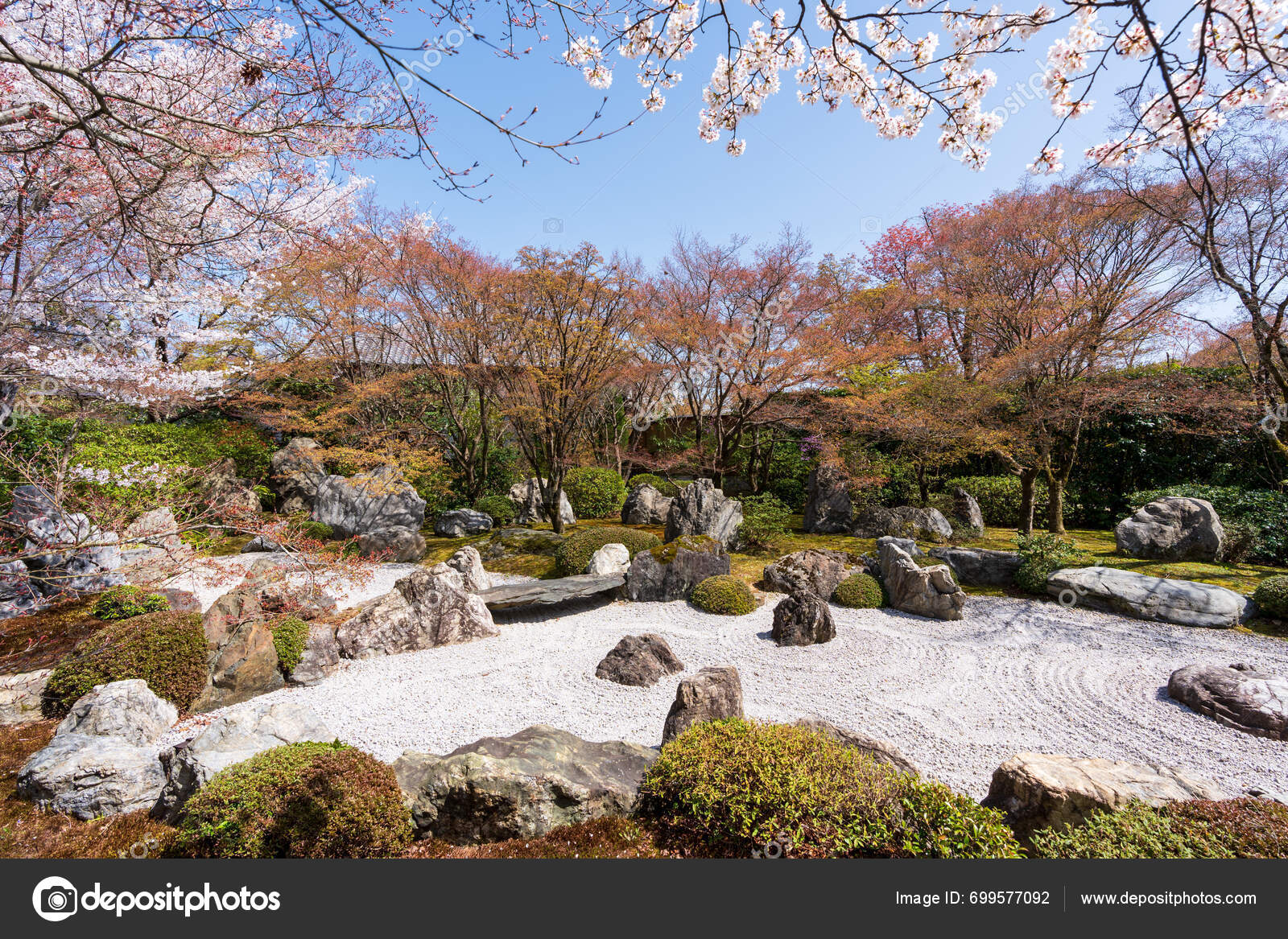 Cherry Blossoms Japanese Zen Garden Shogunzuka Mound Seiryuden Shorenin Temple — Stock Photo ...