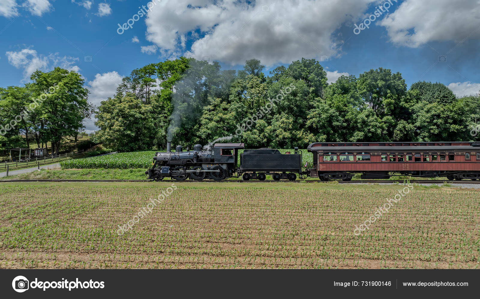Black Steam Locomotive Pulling Red Passenger Cars Passes Verdant ...