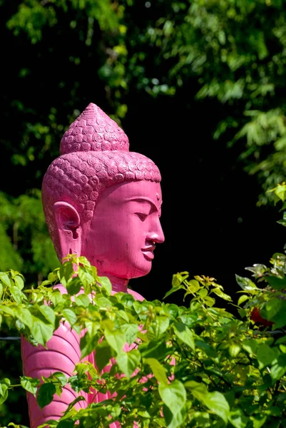Pink buddha Stock Photos, Royalty Free Pink buddha Images | Depositphotos