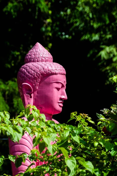 Pink buddha Stock Photos, Royalty Free Pink buddha Images | Depositphotos
