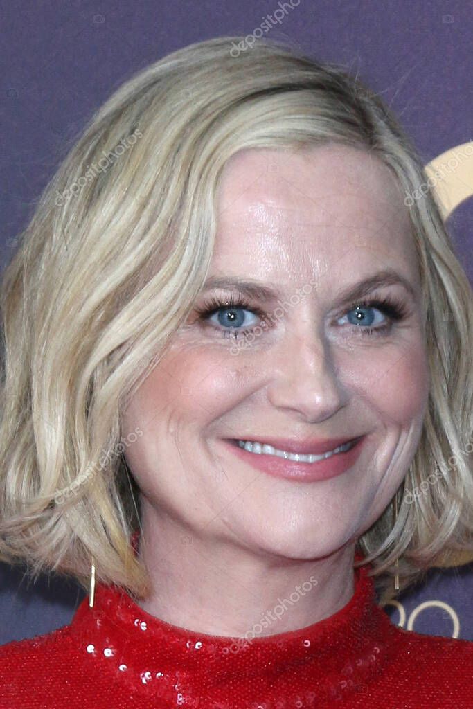 LOS ANGELES - MAR 2: Amy Poehler at the Carol Burnett - 90 Years of ...