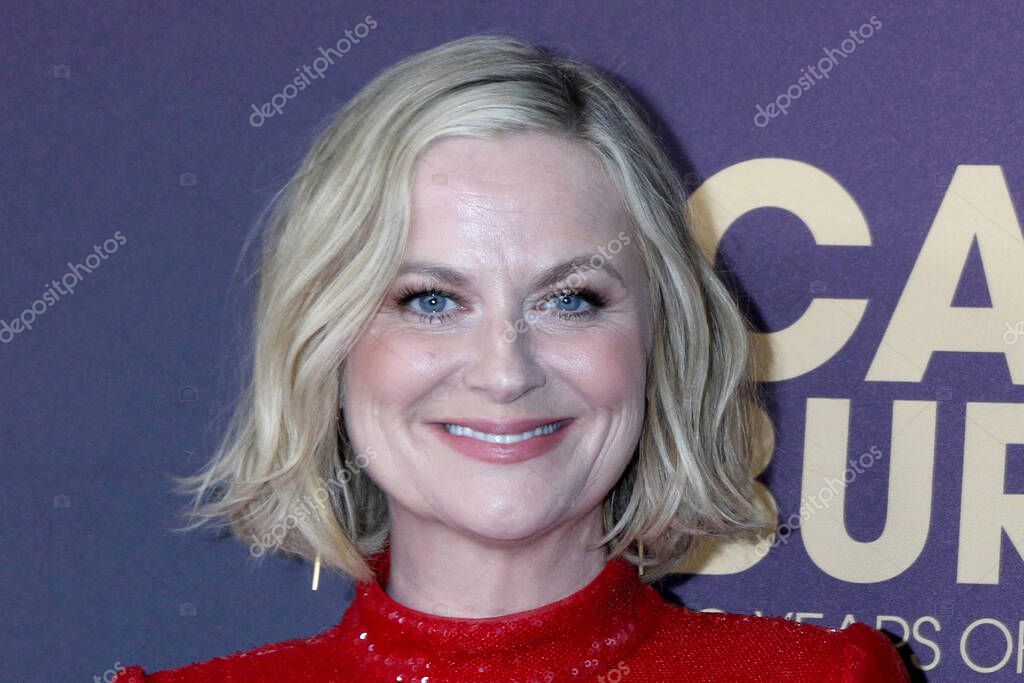 LOS ANGELES - MAR 2: Amy Poehler at the Carol Burnett - 90 Years of ...