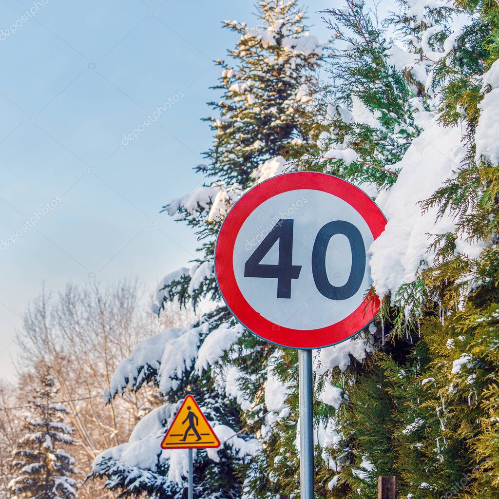 Señal de tráfico "límite de velocidad 40 km" entre las ramas de abeto ...