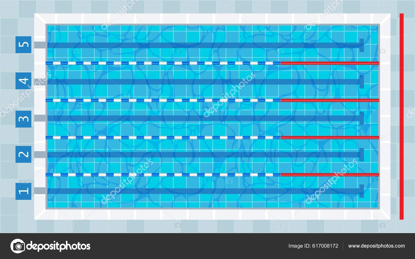 Olympic Swimming Pool Drawing