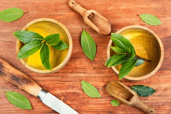 Imágenes de Hoja de laurel, fotos de Hoja de laurel sin royalties ...