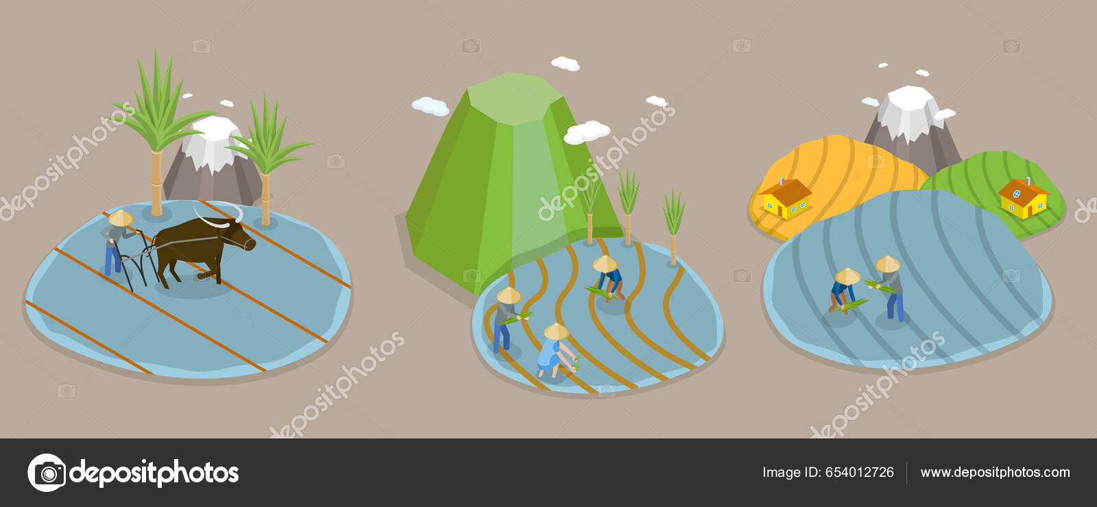 Isometric Flat Vector Conceptual Illustration Rice Farm Asian ...