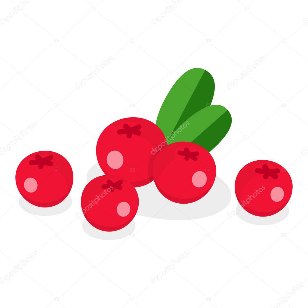 Conjunto de vectores planos isométricos 3D de hierbas y bayas médicas, medicamentos a base de ...