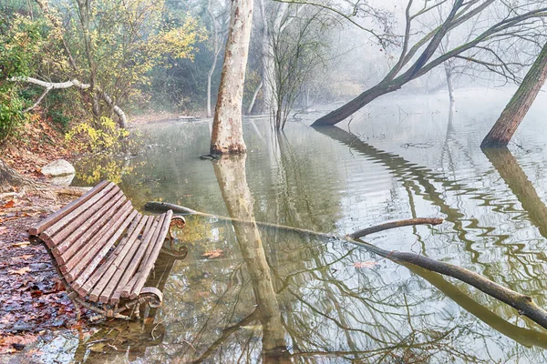 Desentra ar los l mites de la naturaleza: el cambio clim tico y las ...