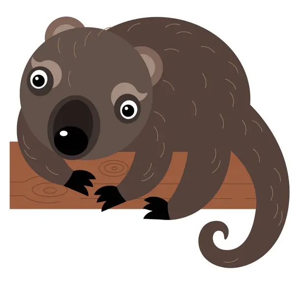 5,840,206 imágenes de Gambar kartun hewan kuskus libres de derechos ...