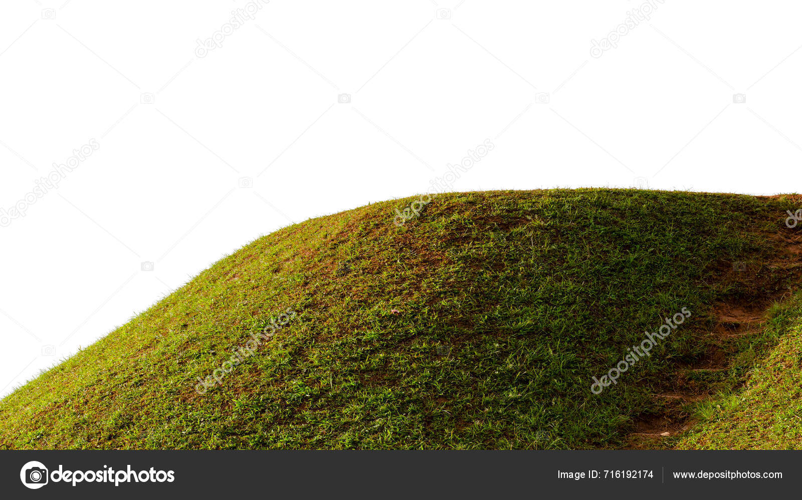 Grass Field Isolated Transparent Background Png File — Stock Photo ...