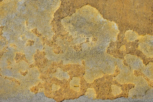 Mold form Stock Photos, Royalty Free Mold form Images | Depositphotos