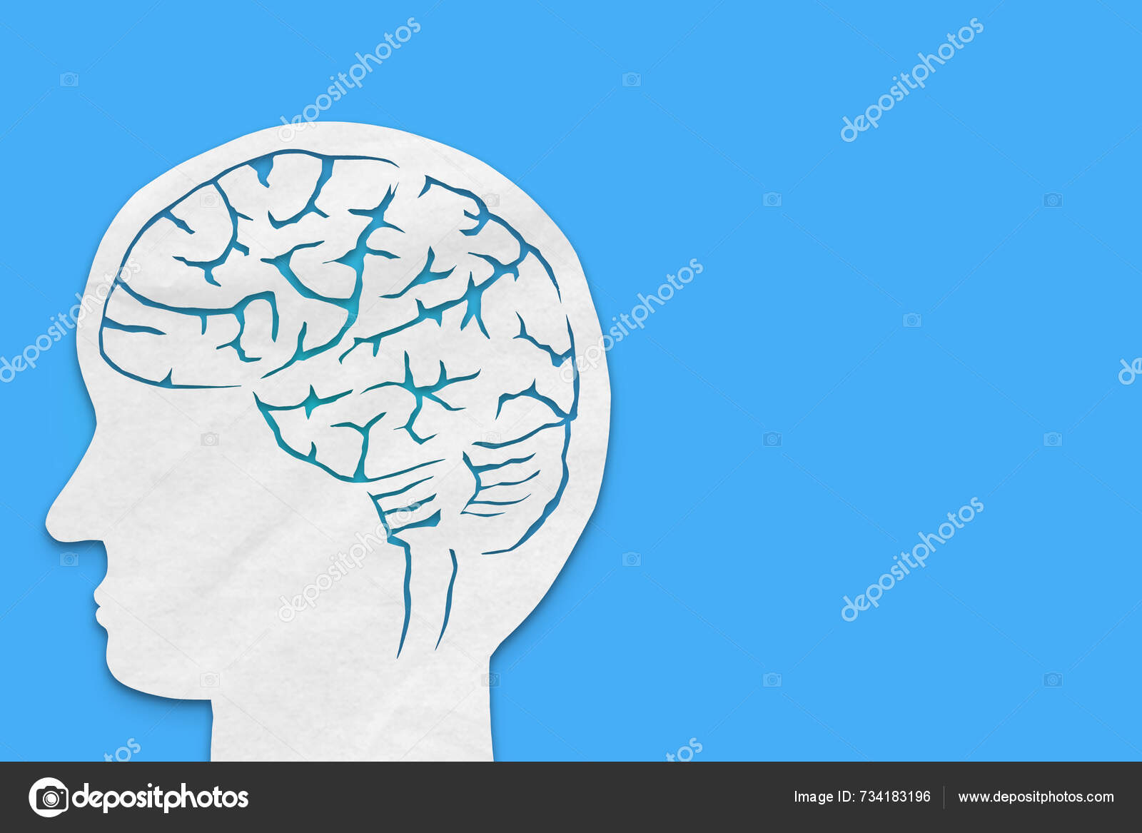 Brain Cut Out Paper Placed Blue Background Concept Importance Brain ...