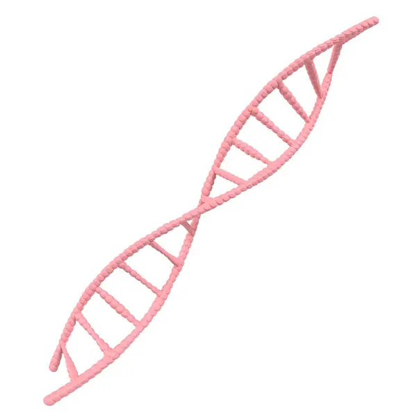 Pink dna double helix png Stock Photos, Royalty Free Pink dna double ...