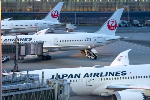 Tokyo Japon Mai 2024 Japan Airlines Avion Jal L'aéroport International ...