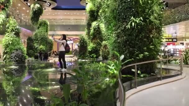 Singapore May 2024 Dreamscape Garden Changi Airport Terminal Singapore ...