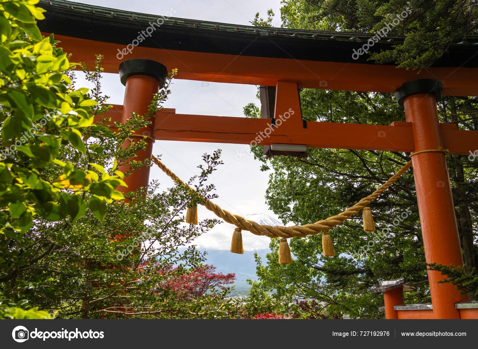 Shimoyoshida Japón Mayo 2024 Arakurayama Sengen Park Shrine Torii Gate ...