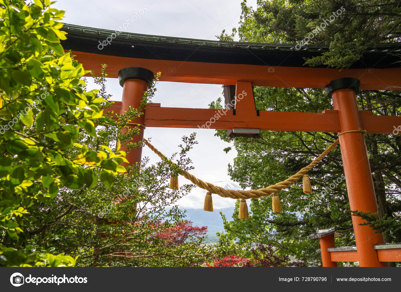 Shimoyoshida Japan May 2024 Arakurayama Sengen Park Shrine Torii Gate ...