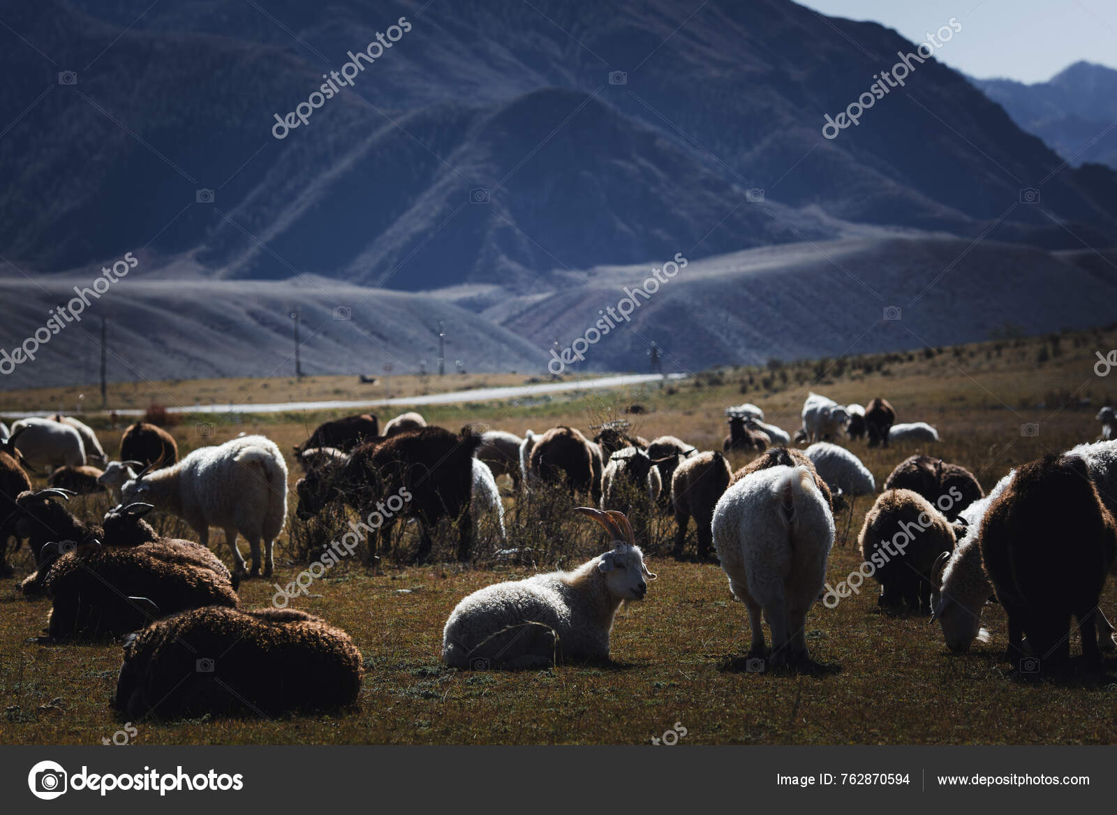 Harsh Rocky Landscape Altai Mountains Autumn Rugged Boulders Golden ...