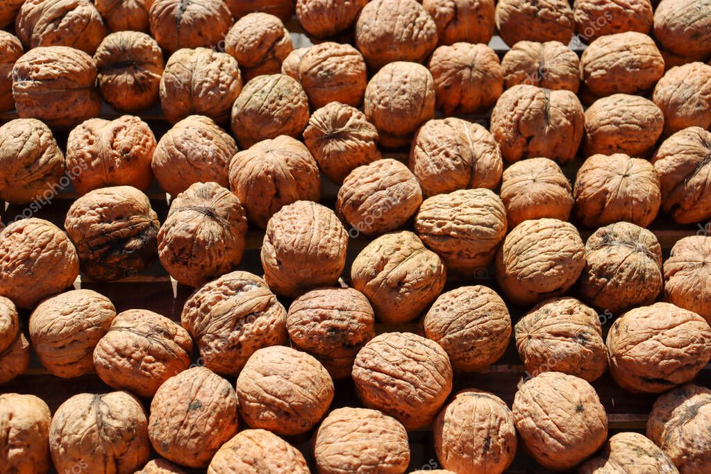 Patrón de textura de nuez. Muchas nueces expuestas al sol se secan ...