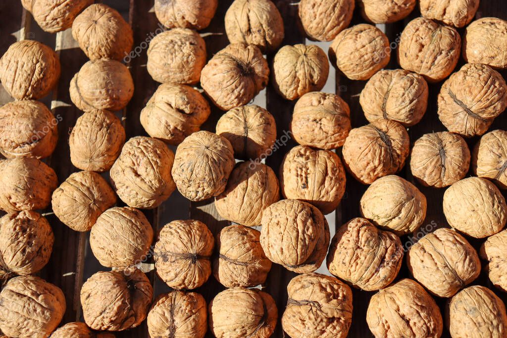 Patrón de textura de nuez. Muchas nueces expuestas al sol se secan ...